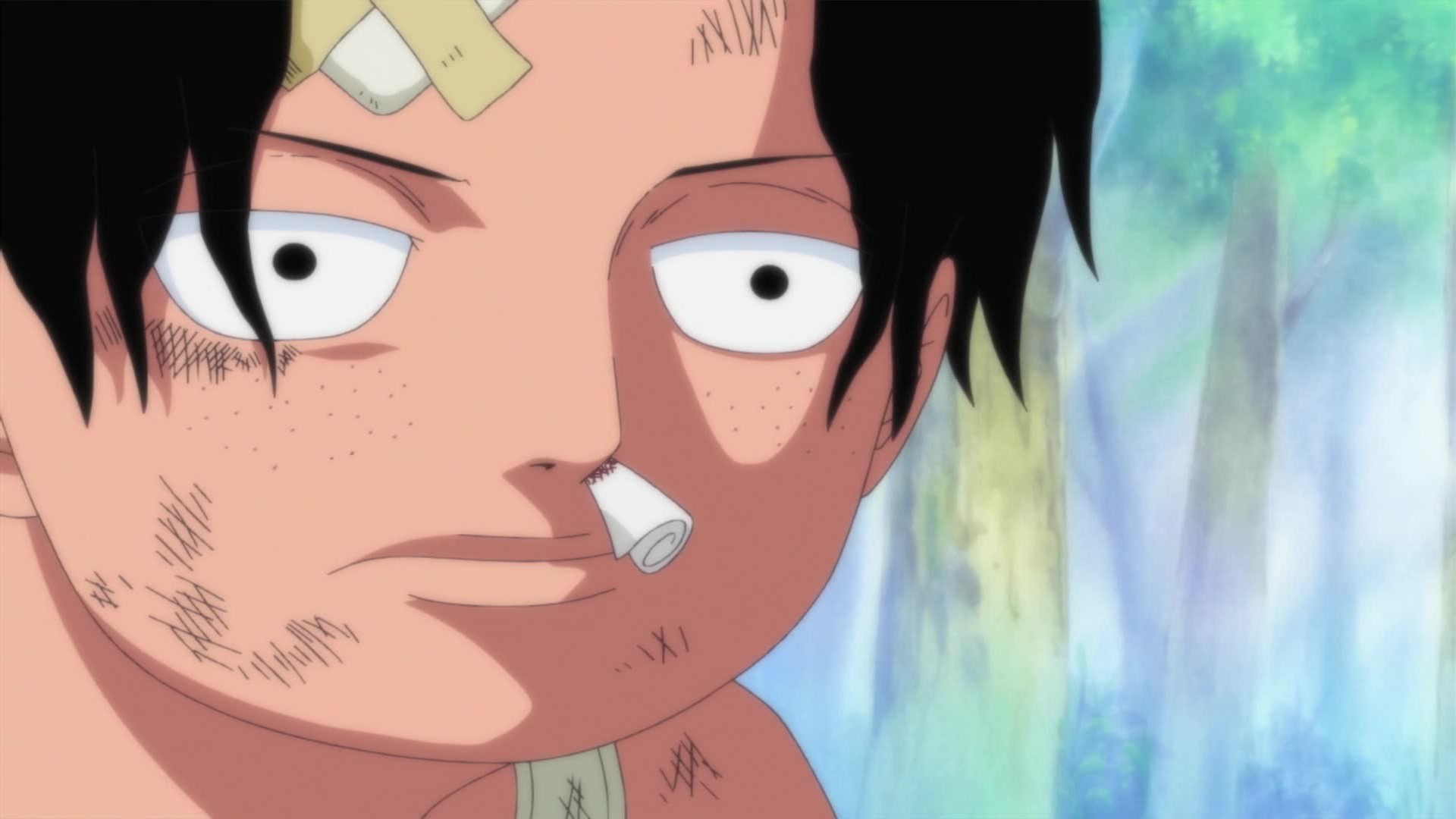 Ван-Пис 477 серия смотреть онлайн бесплатно!